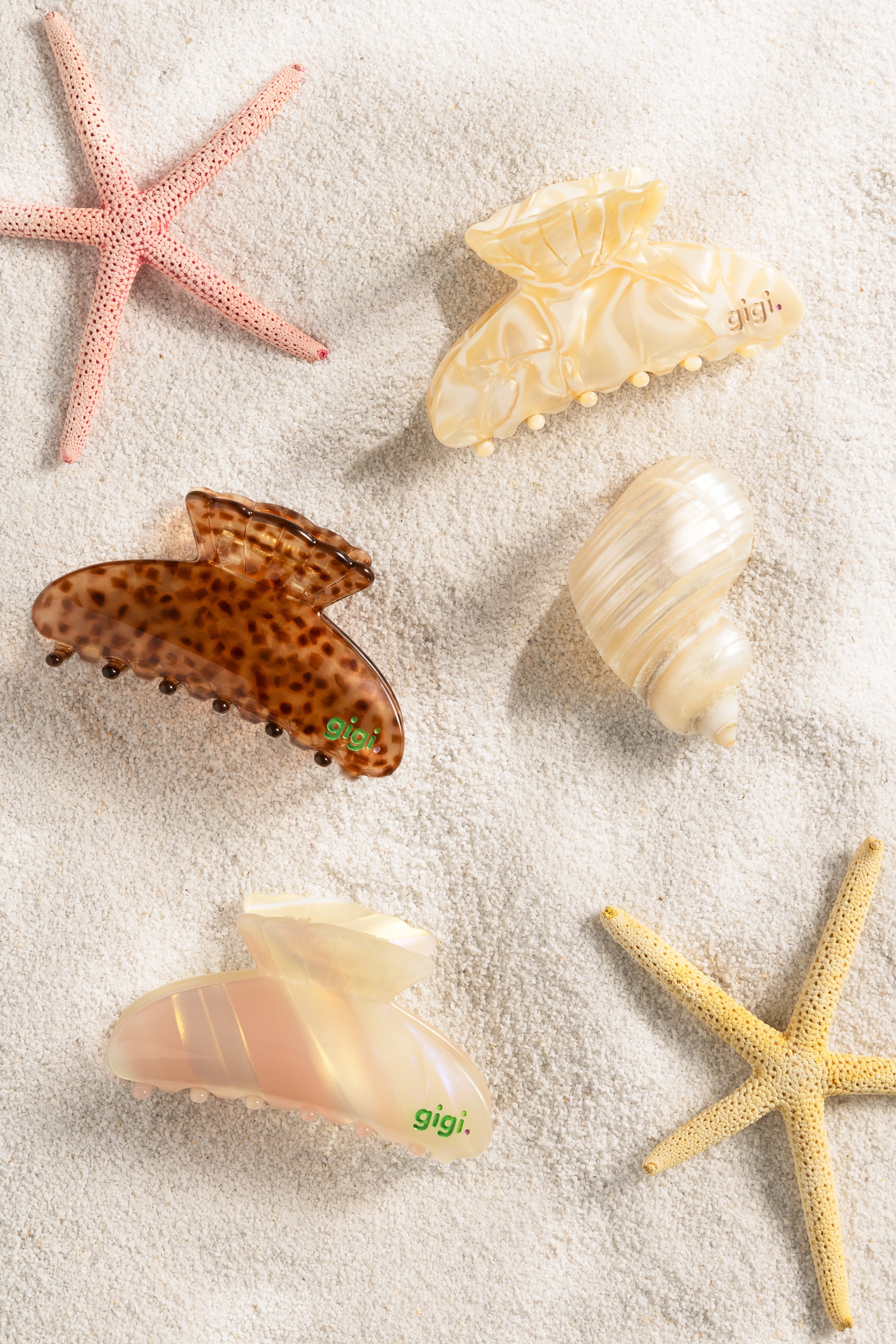 SHELLS. – gigi.